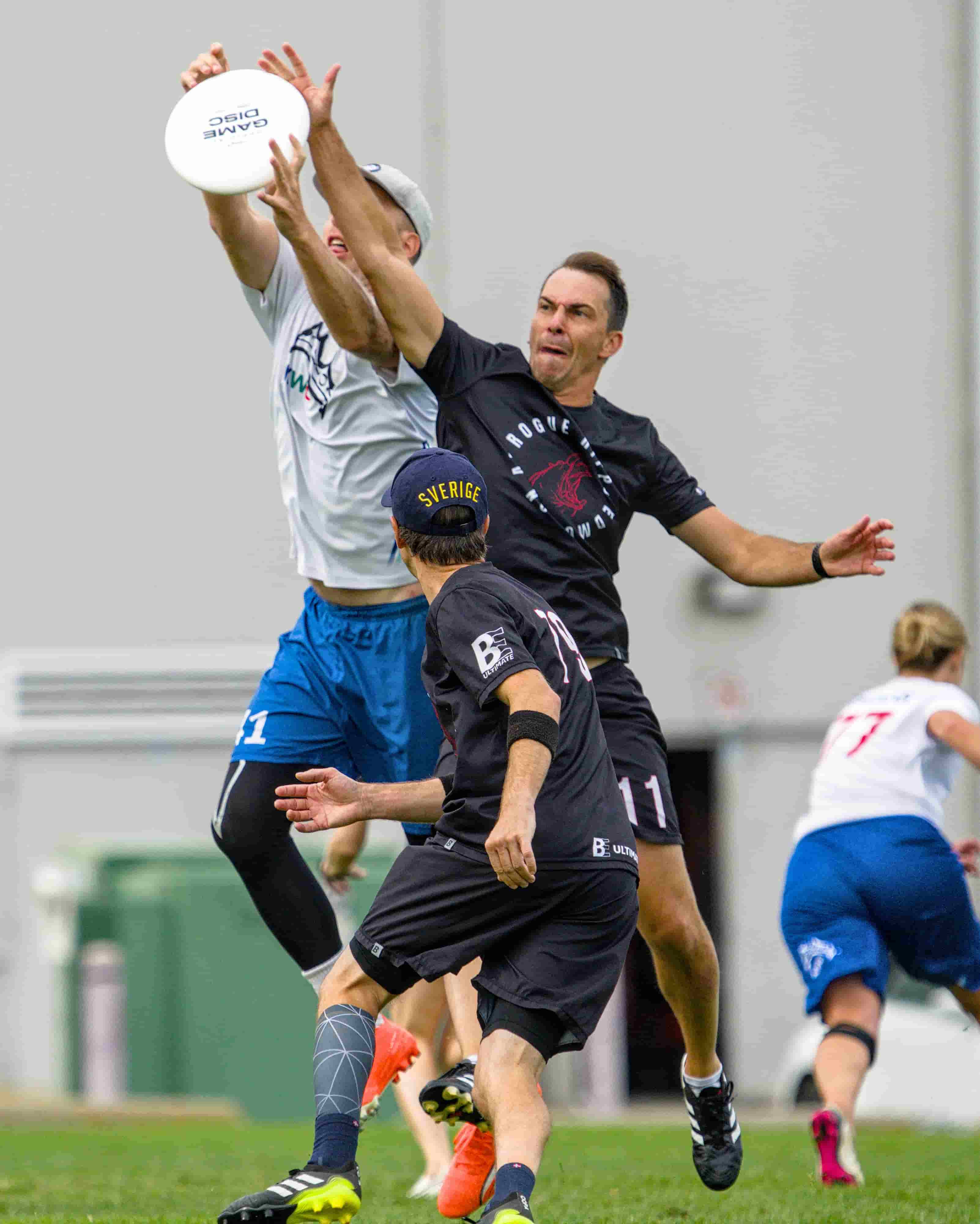 Edmonton Ultimate Players Association : Website by RAMP InterActive